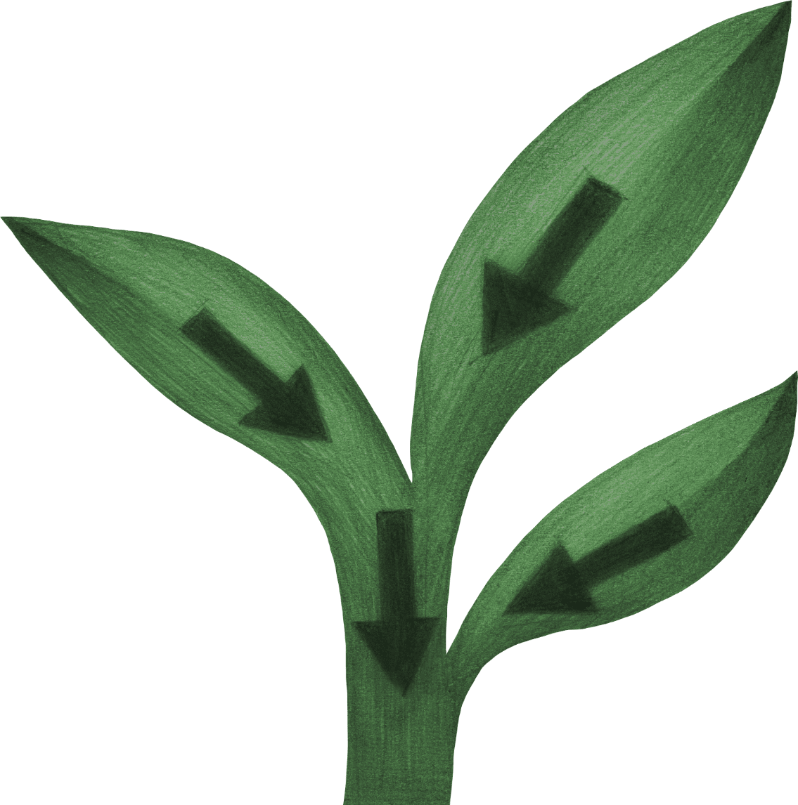 Signum 33 WG - Sumin